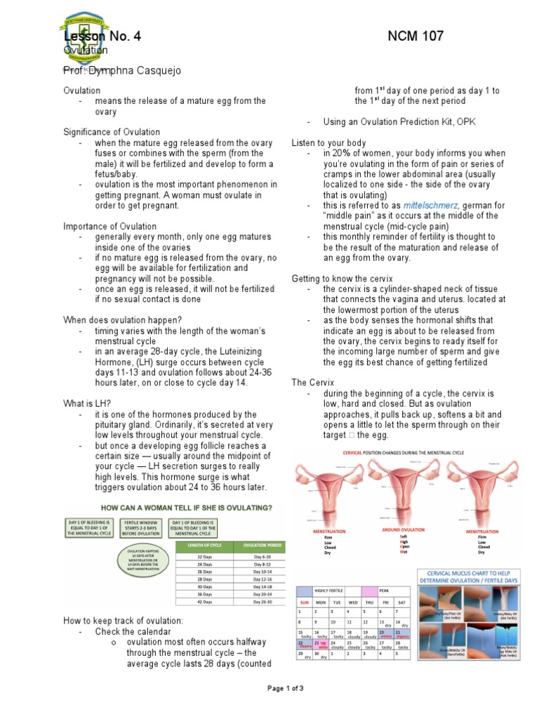 Lesson No. 4 NCM 107: Ovulation Prof. Dymphna Casquejo | PDF | Menstrual Cycle | Luteinizing Hormone