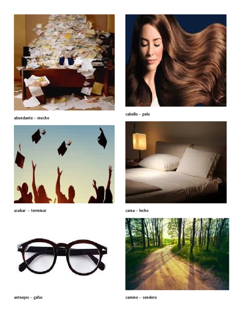 Album de Sinonimos Antonimos y Modismo | PDF