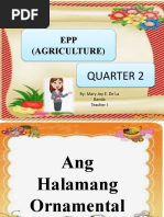 Epp-Agriculture 4 Matatag Q2 Week 2 PPT Lesson | PDF