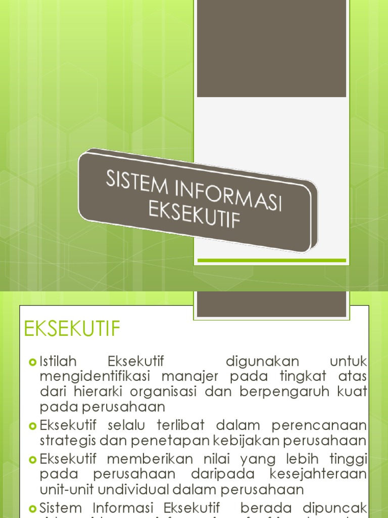 Sistem Informasi Eksekutif Pdf 