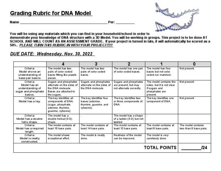 Grading Rubric For DNA Model | PDF | Dna | Base Pair