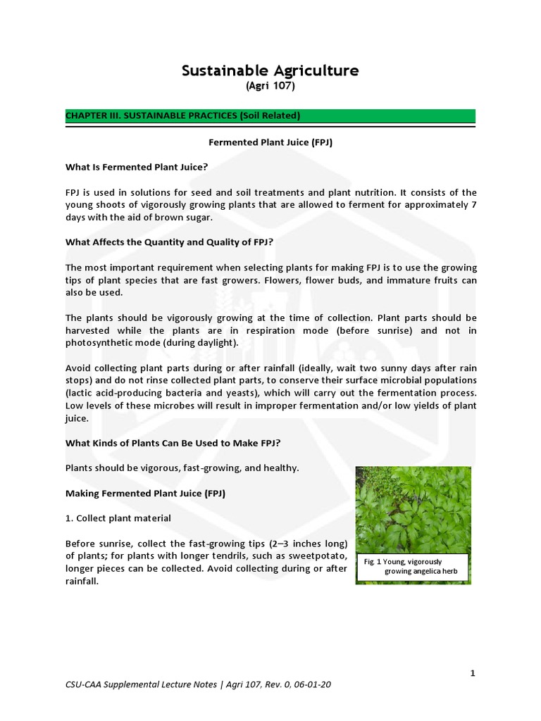 11 Fermented Plant Juice | PDF | Fermentation | Plants