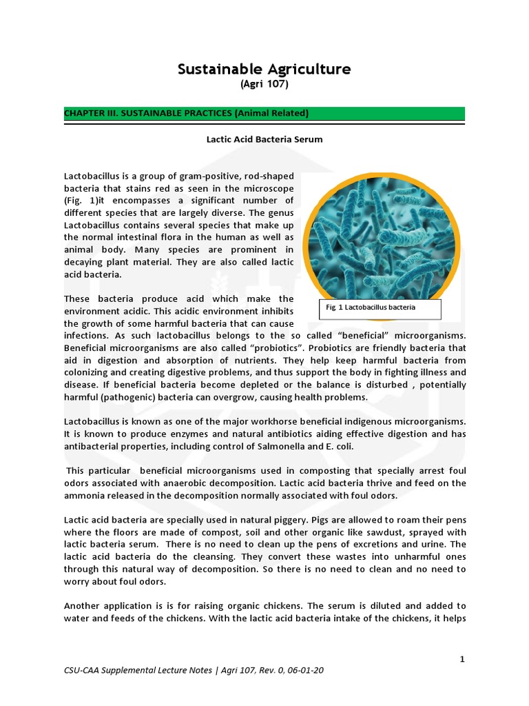 12 Lactic Acid Bacteria Serum Pdf Bacteria Lactobacillus