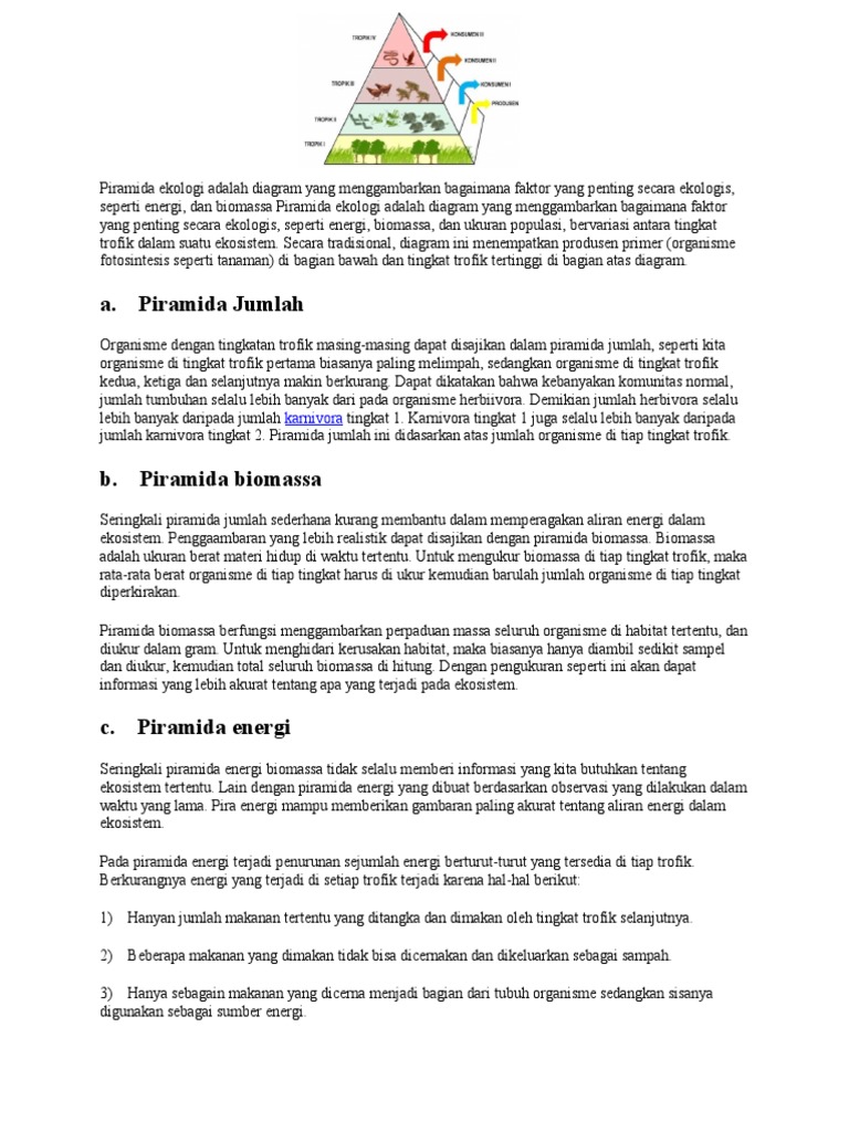 Piramida Ekologi | PDF
