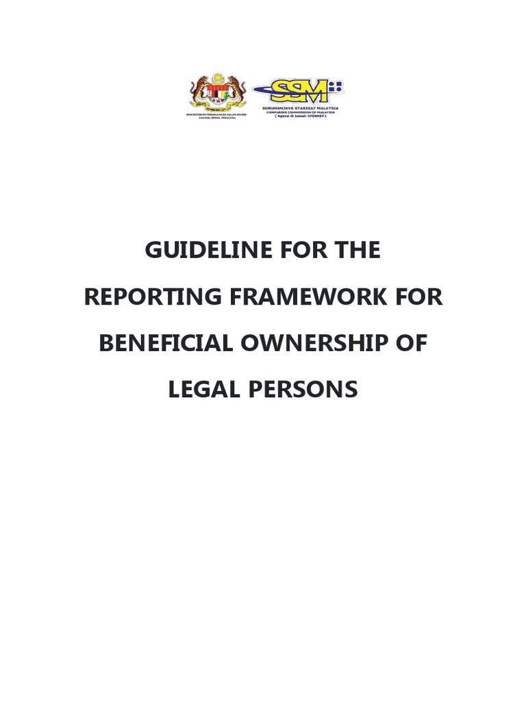 SSM - Guideline For BO Reporting Framework (27022020) | PDF ...