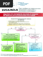 5h 5t | PDF | Infarto de miocardio | Reanimación cardiopulmonar