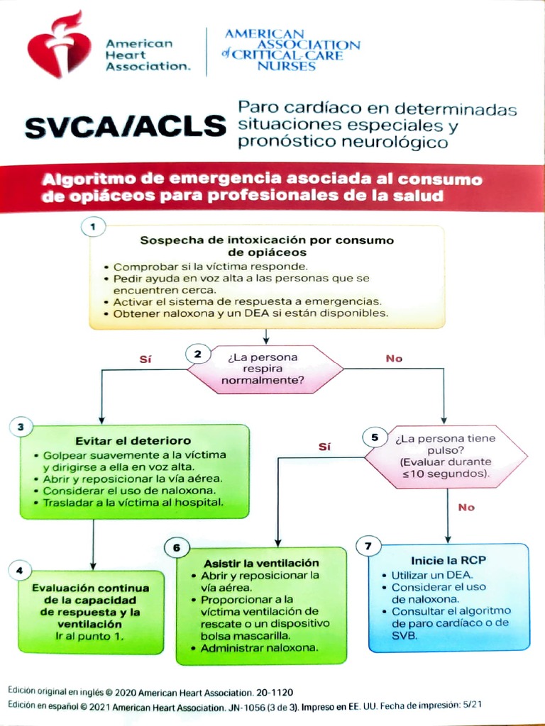 Algoritmo RCP en Embarazadas AHA 2024 | PDF | Reanimación ...