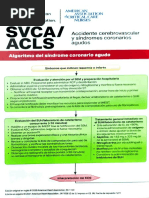 Algoritmo ACV | PDF | Carrera | Neurología