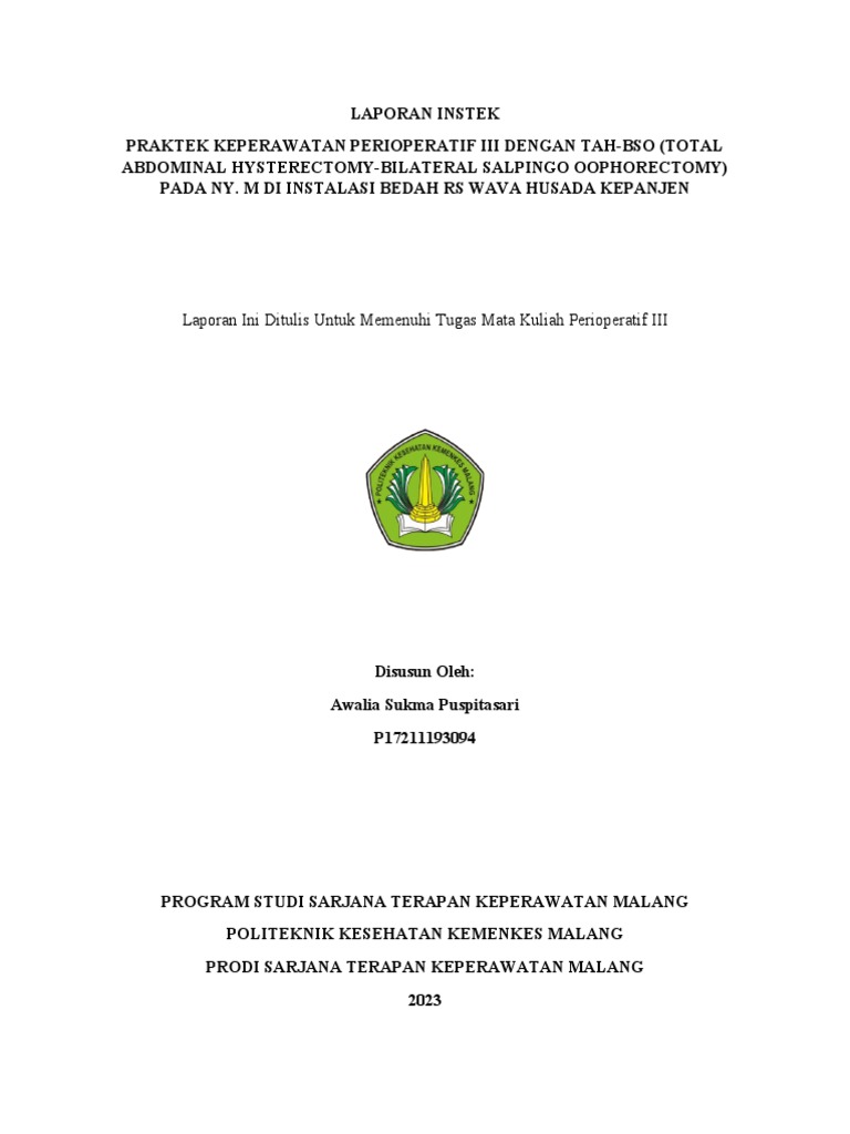 Laporan Instek Tah-Bso | PDF