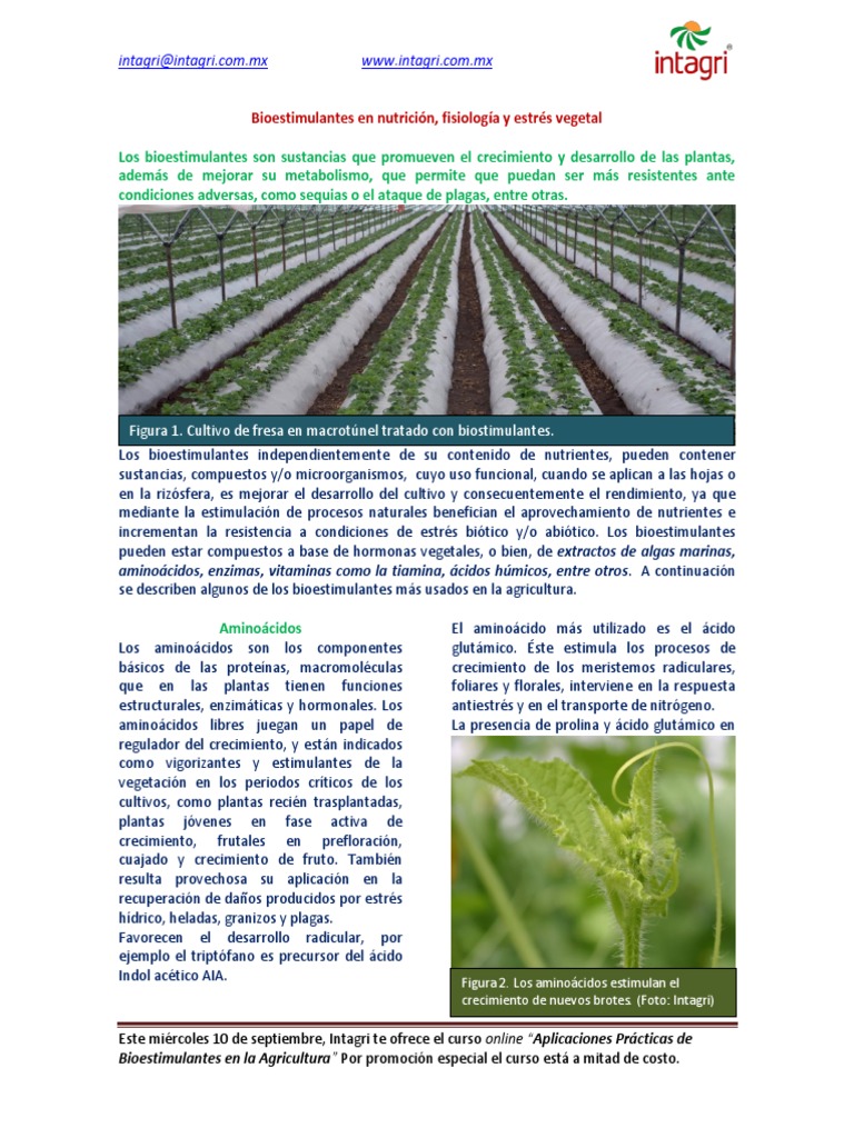 Bioestimulantes y Estrés Vegetal en Cultivos | PDF | Plantas | Nutrición