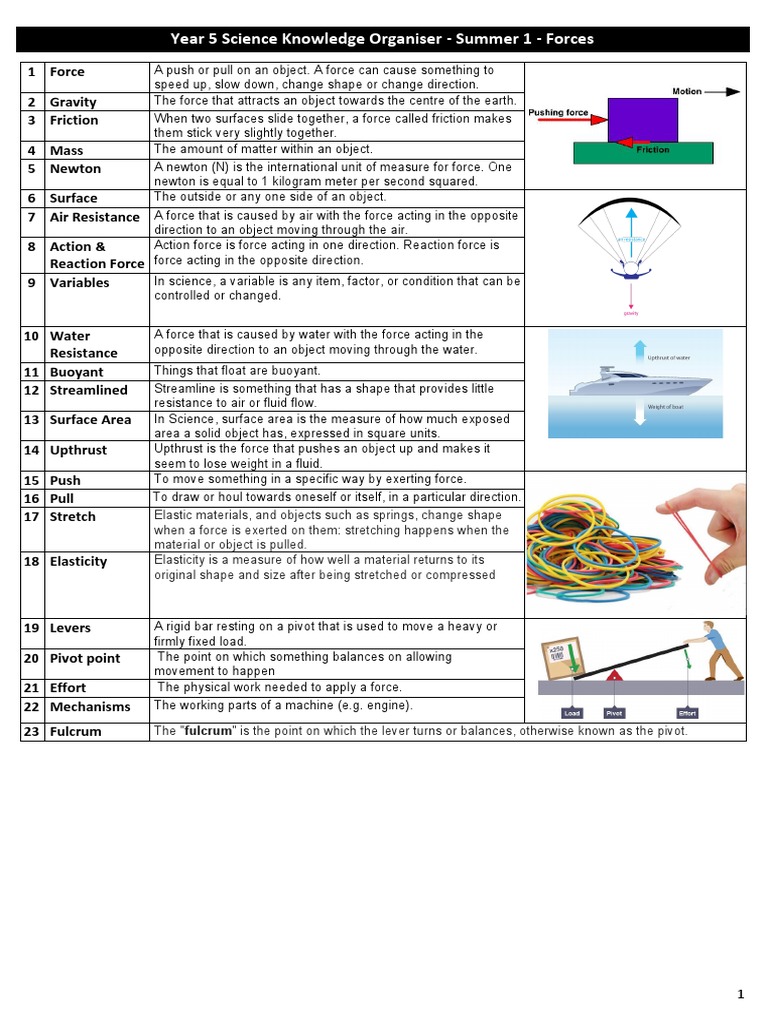 Year 5 Forces Knowledge Overview | PDF | Force | Lever