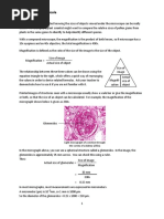 Calculation-Magnification-Qs Pack-Gcse | PDF | Micrograph | Cell (Biology)
