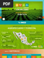 Censo Agrop 2024 Resultados Preliminares | PDF | Agricultura