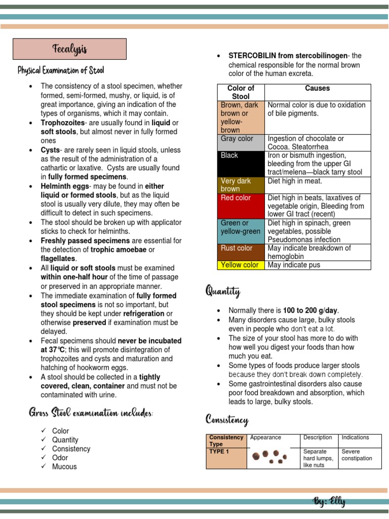 FECALYSIS | PDF | Parasitism | Feces