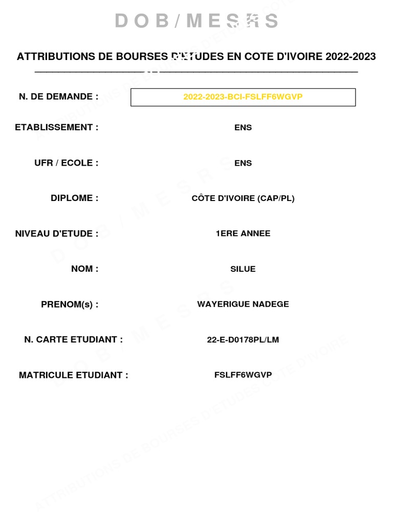 2022 2023 Bci FSLFF6WGVP | PDF