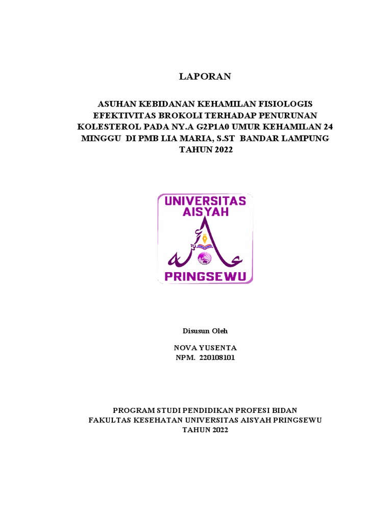 Laporan STASE KEHAMILAN NORMAL Nova Yusenta | PDF | Kesehatan Holistik