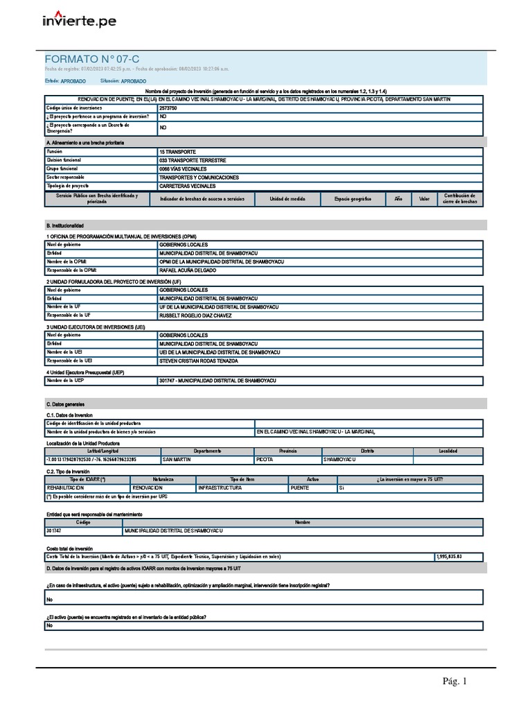 Ficha Viable Puente La Marginal | PDF