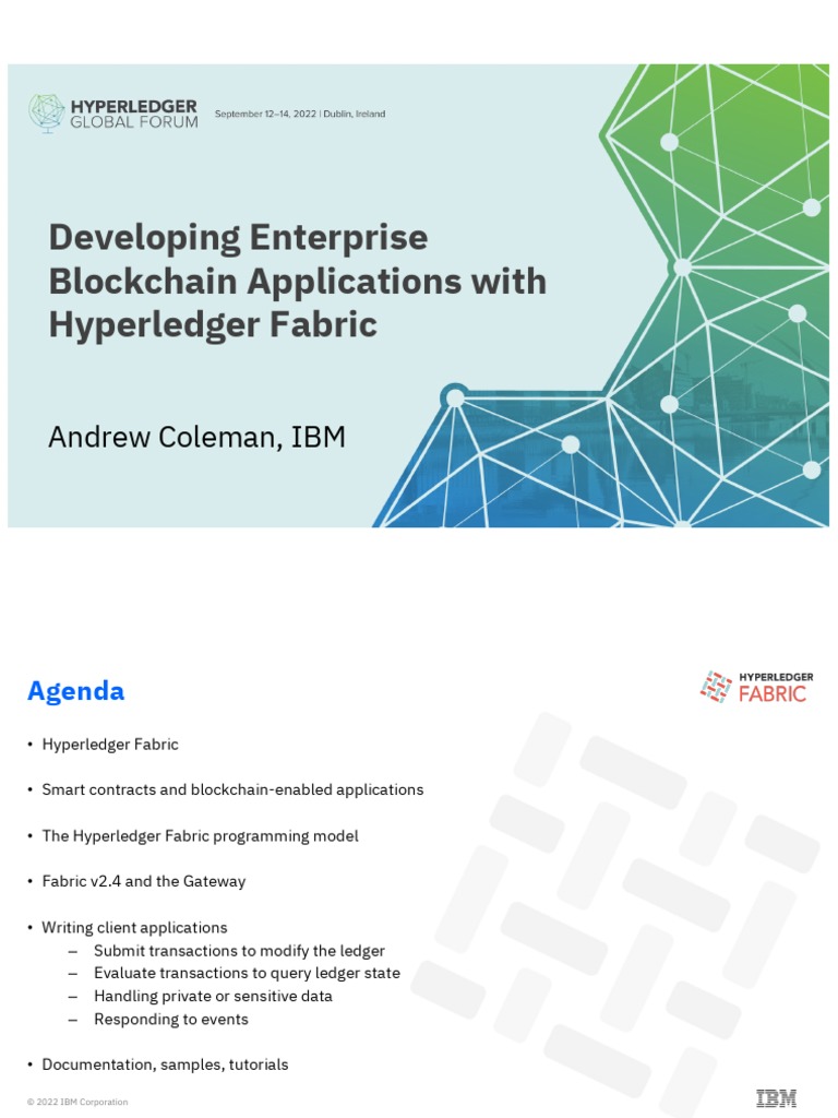 Fabric v2.4 AppDev | PDF | Computing | Software Engineering