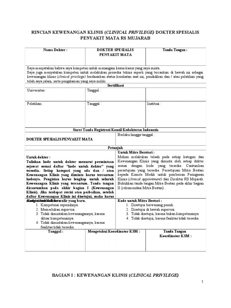 Contoh RKK Mata | PDF