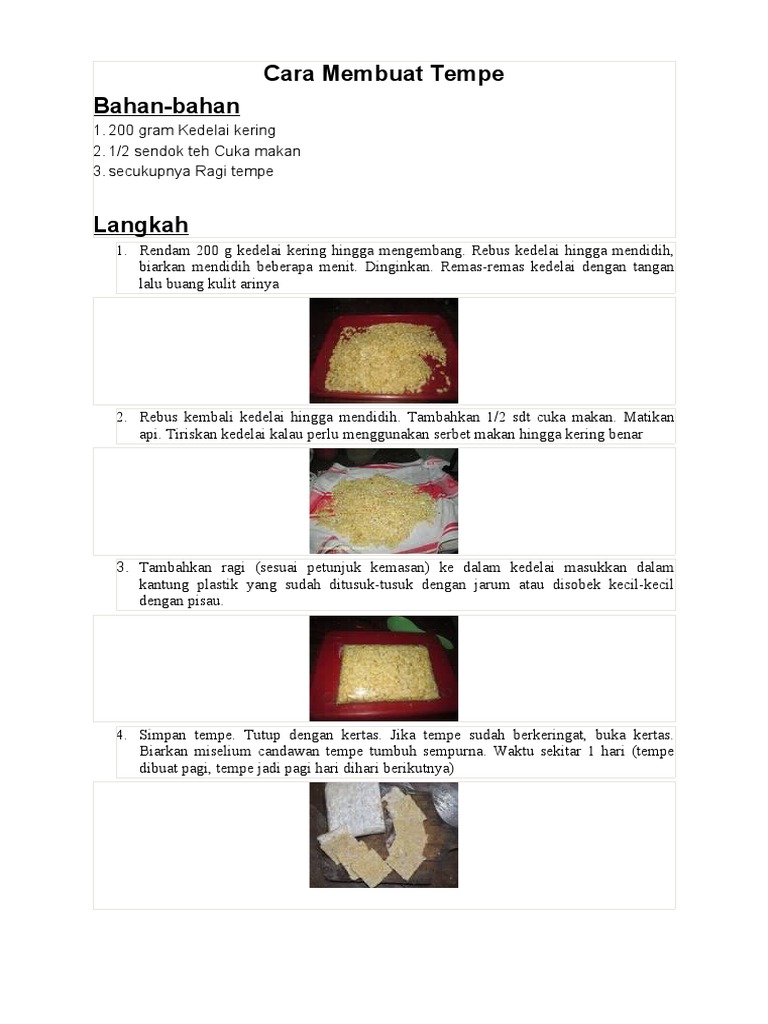 Cara Membuat Tempe | PDF