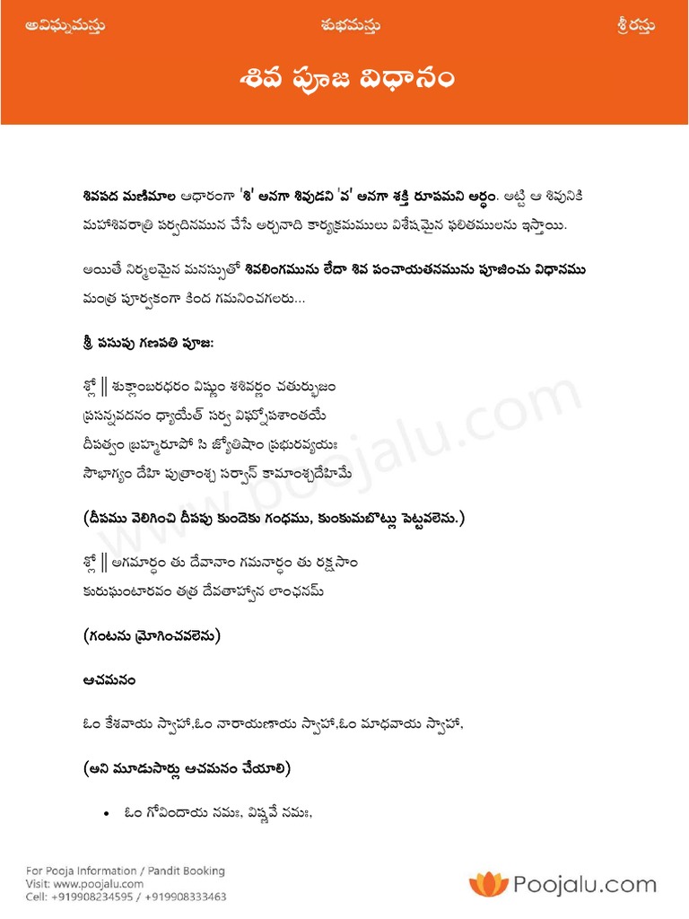Siva Puja Vidhanam | PDF