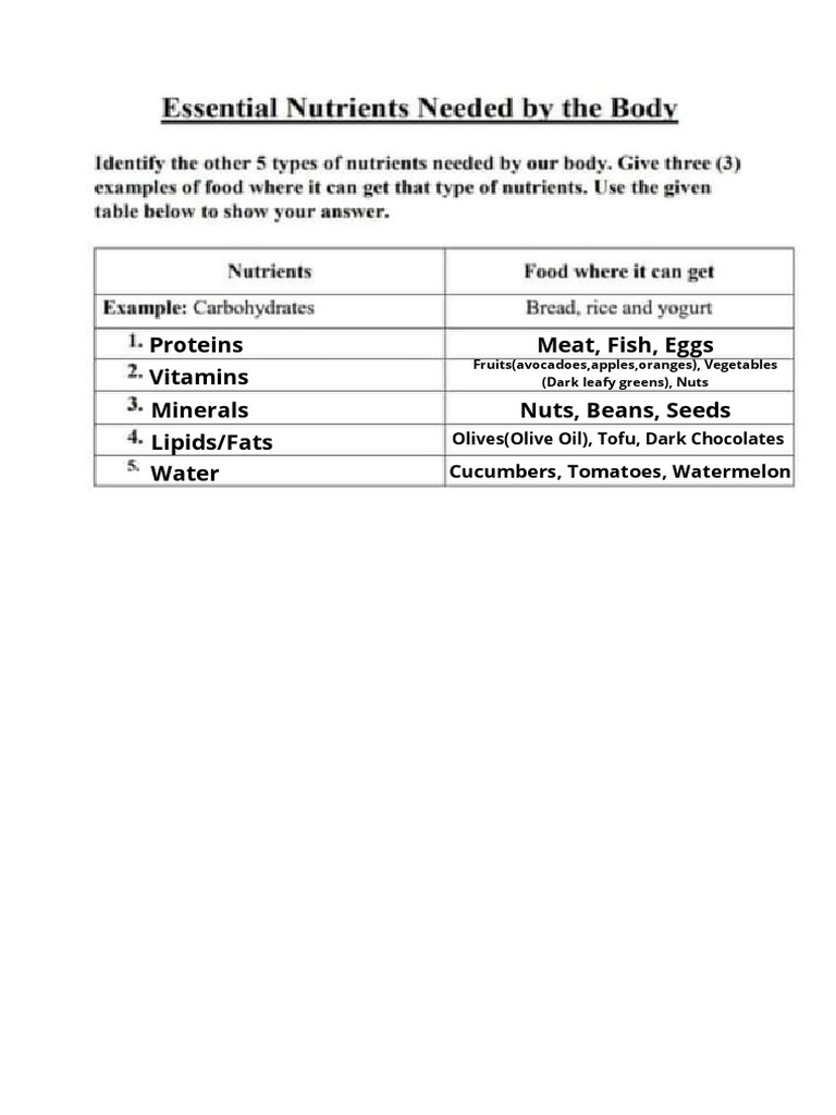 Essential Nutrients Needed by The Body | PDF