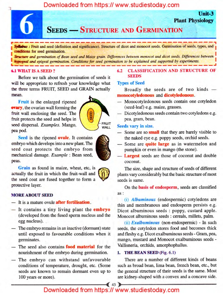 Seed Structure and Germination ICSE Guide | PDF | Wellness