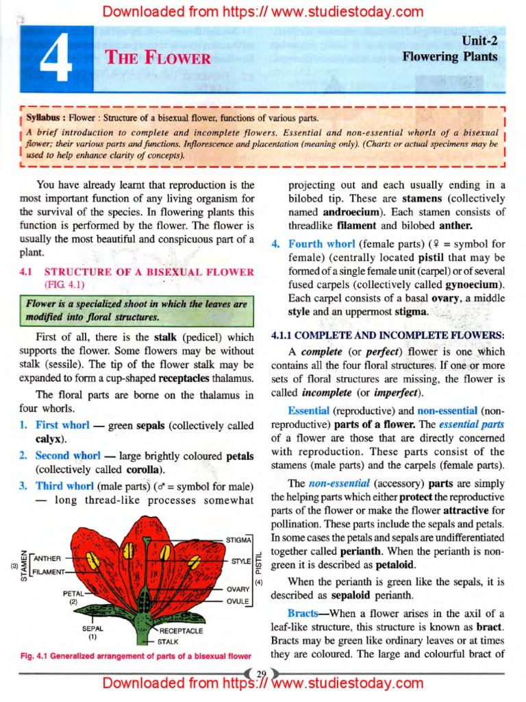 ICSE Class 9 Biology Chapter 04 The Flower | PDF