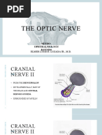 Optic Foramen Radiographic Overview | PDF