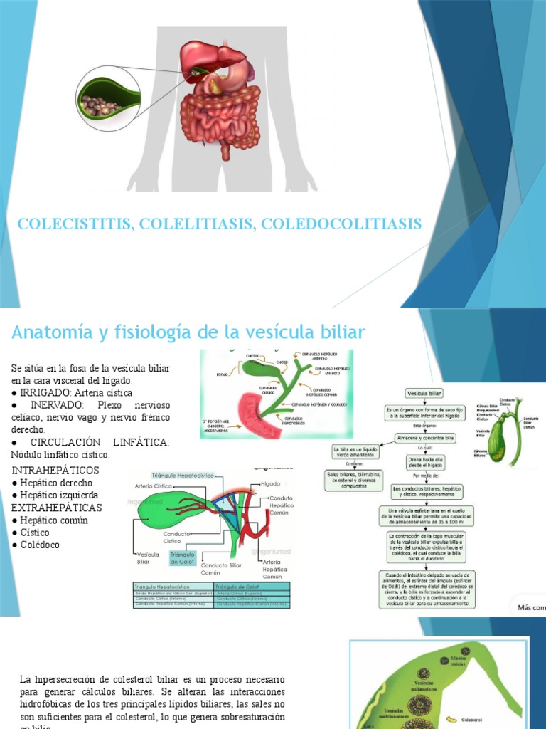 Exposicion Colecistitis, Colelitiasis, Coledocolitiasis Final | PDF ...