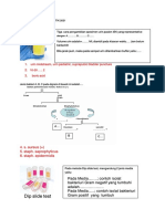 Algoritma Tatalaksana DMT2 Perkeni 2023 | PDF | Sains & Matematika