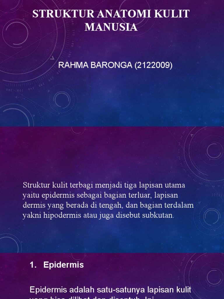 (Struktur Anatomi Kulit Manusia) RAHMA BARONGA | PDF | Griya & Taman | Kesehatan Holistik