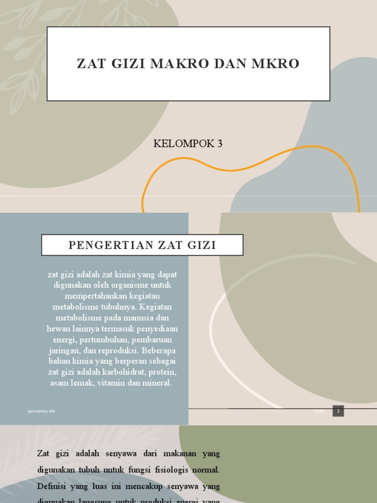 Panduan Zat Gizi Makro & Mikro | PDF