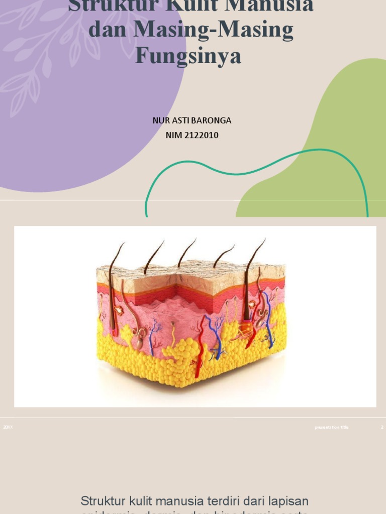 Struktur Kulit Manusia Dan Masing-Masing Fungsinya | PDF