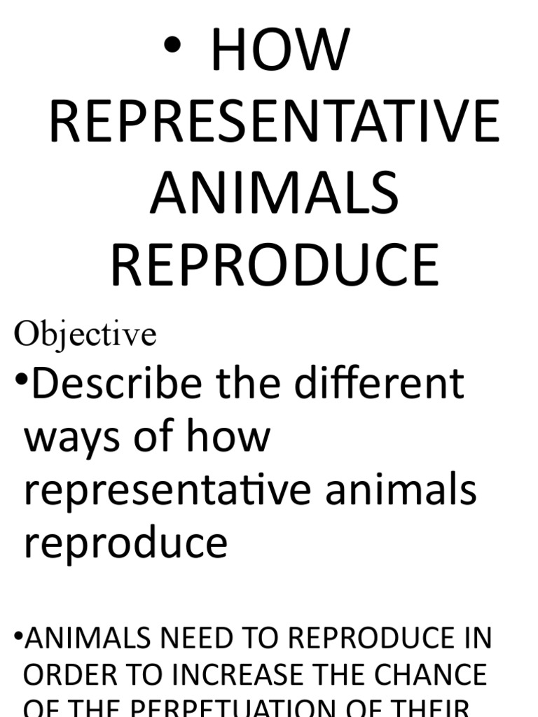 How Representative Animals Reproduce | PDF | Sexual Reproduction ...