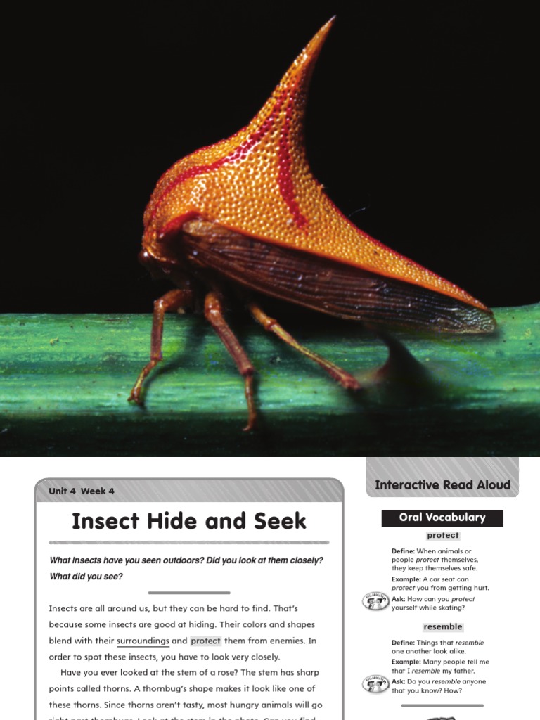 Read Aloud Cards G1.U4.W4 | PDF | Insects | Vocabulary