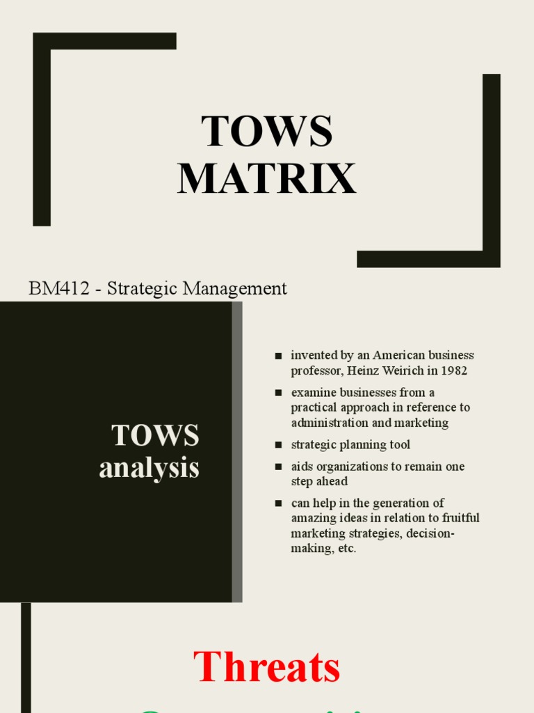 TOWS Matrix | PDF | Business Process | Economics