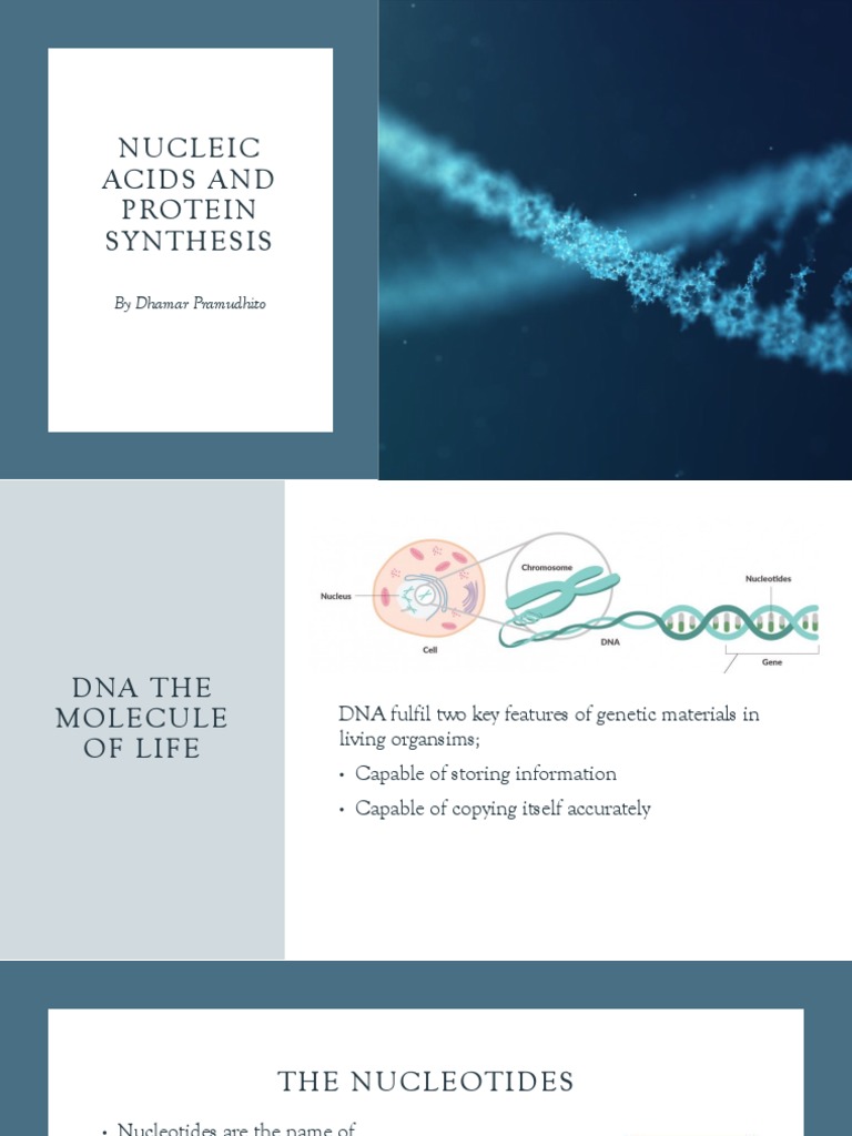 Nucleic Acid Protein Synth 2022 | PDF | Dna | Translation (Biology)