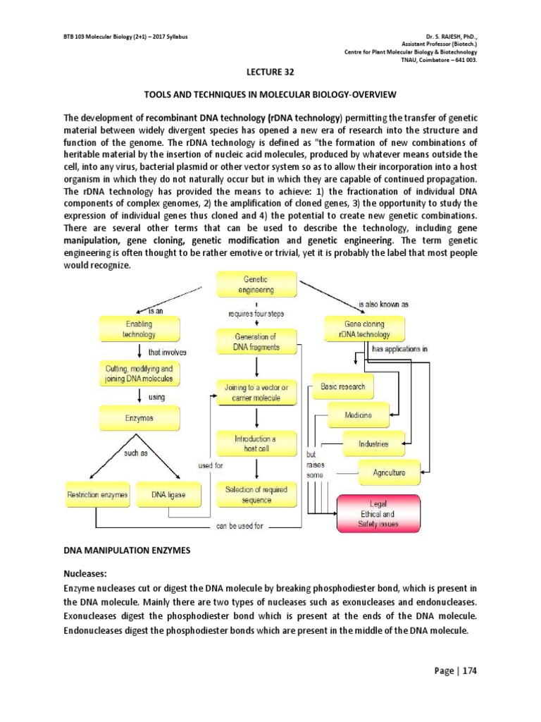 BTB 103 Lecture 32 | PDF
