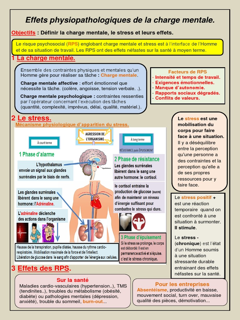 Charge mentale et stress : impacts sur la santé | PDF | Sciences ...