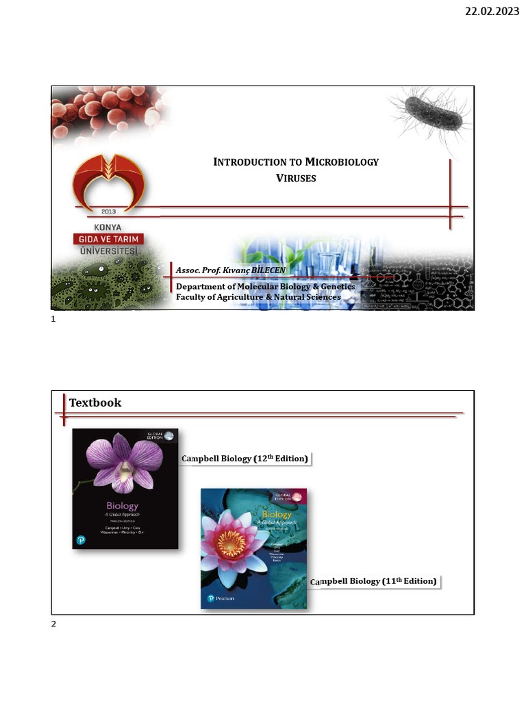 Introduction to Viruses in Microbiology | PDF | Virus | Bacteriophage