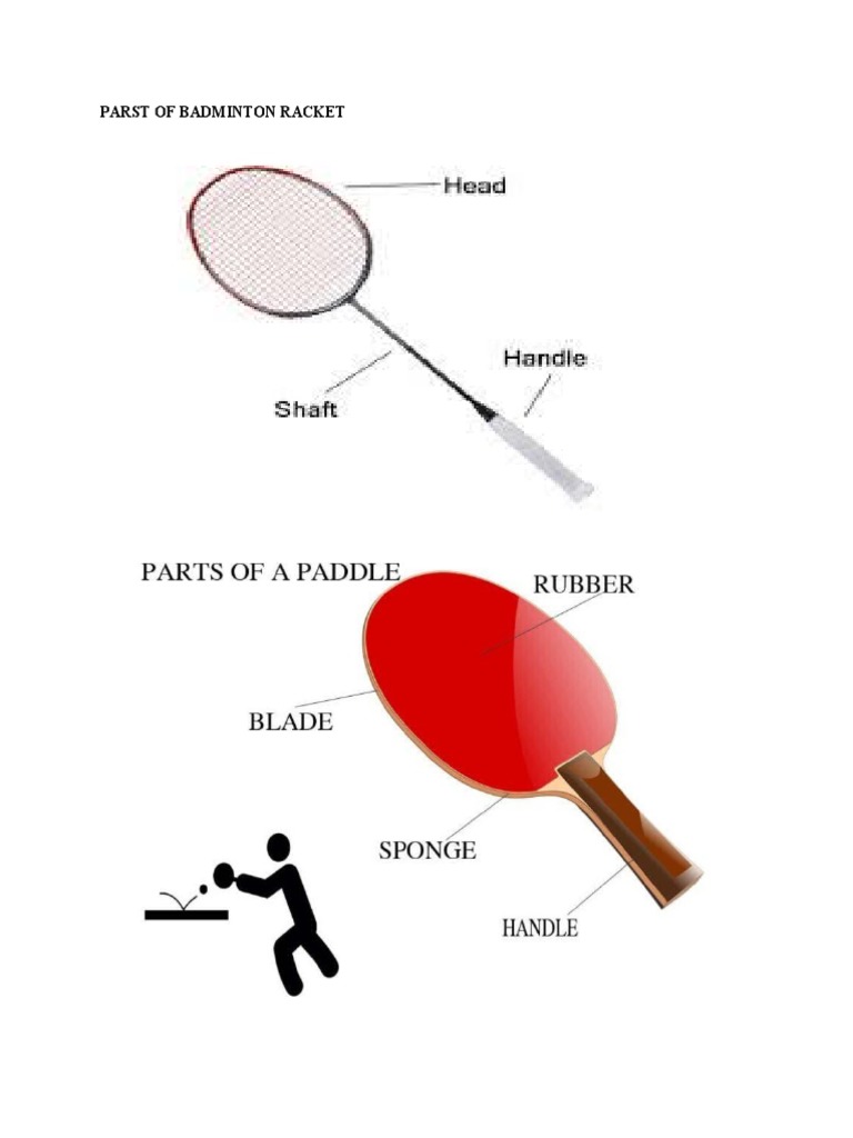 Anatomy Of A Ping Pong Paddle