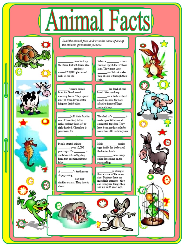 Animal Facts 1 | PDF | Horses | Frog