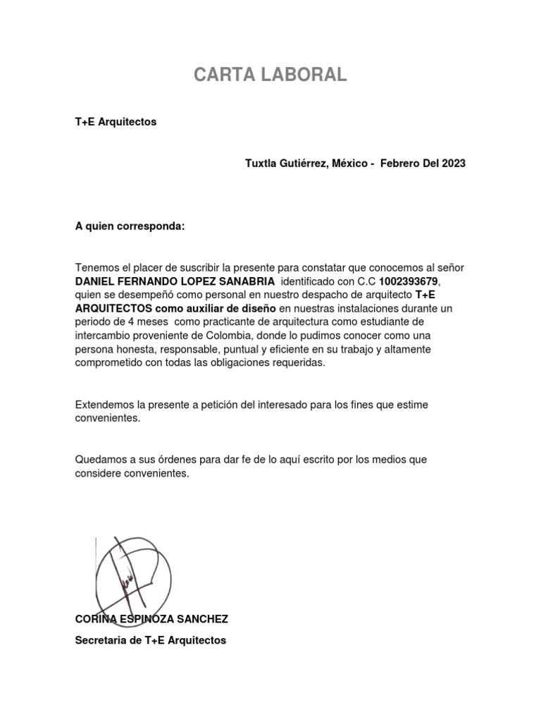 Carta Laboral | PDF | Crecimiento personal y profesional | Arte