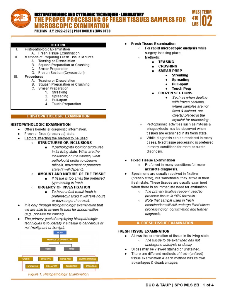 Proper Processing of Fresh Tissue - SPC MLS 2B - Histopath Lab | PDF ...