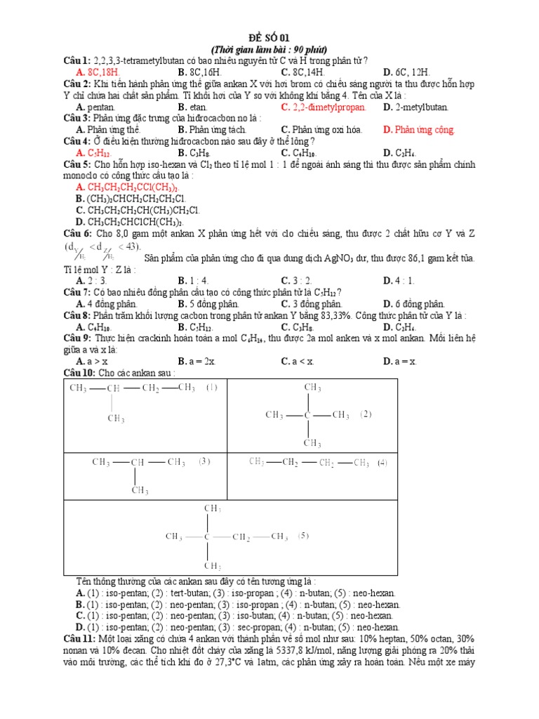 ĐỀ SỐ 01 ÔN TẬP ANKAN | PDF