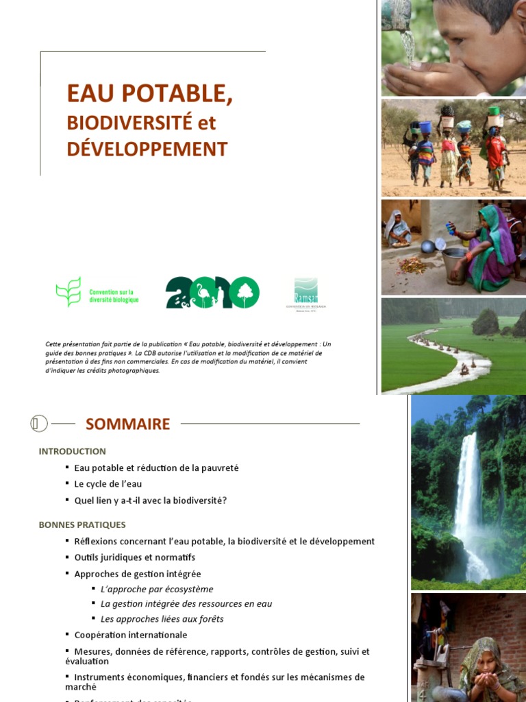 CBD Good Practice Guide Water Powerpoint FR | PDF | Eau | Développement durable