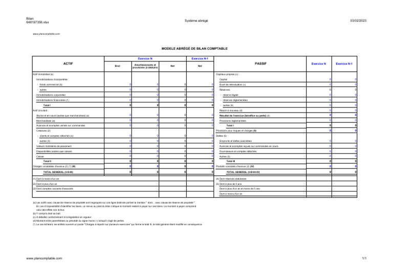 Modèle de Bilan Comptable Vierge | PDF | Capitaux propres | Immobilisations