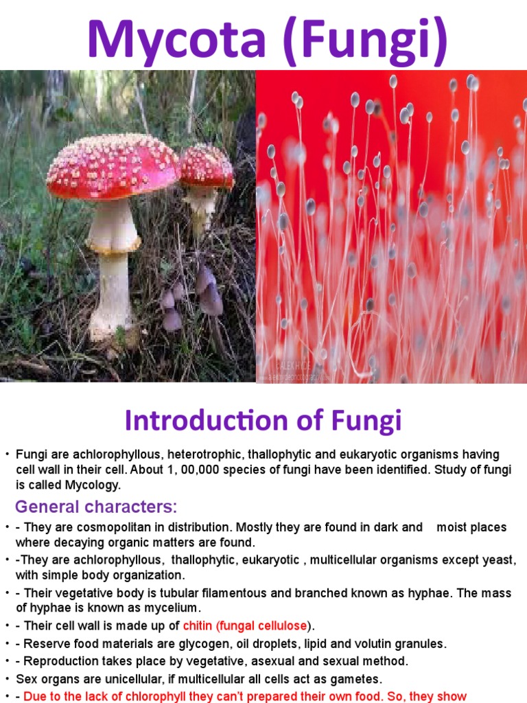 Mycota Introduction: Fungi Kingdom Overview | PDF | Fungus | Sexual ...