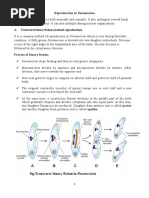 Binary Fission in Paramecium | PDF